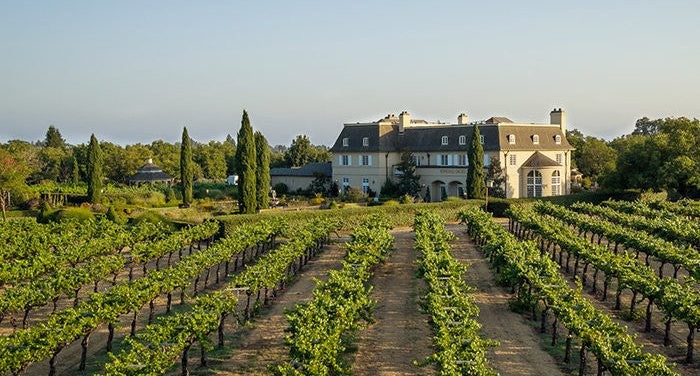 Discover Finest American Wines at Point Wines | Quality & Diversity ...